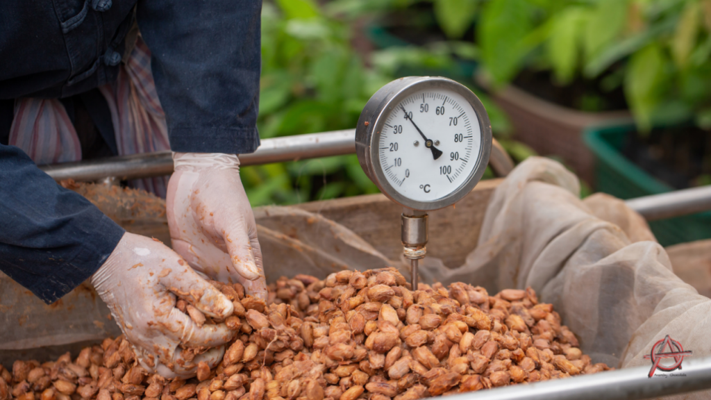5 Ways You Can Use Cacao (Cocoa) Husks - the moonbeam co